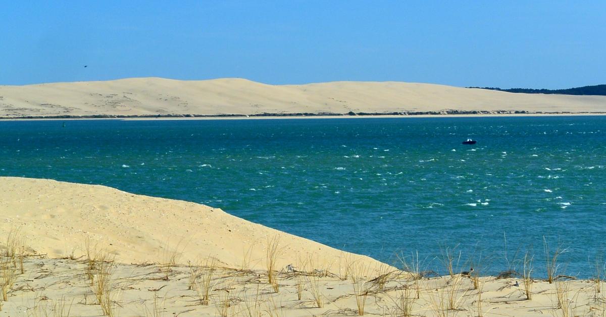 Soar to new heights…